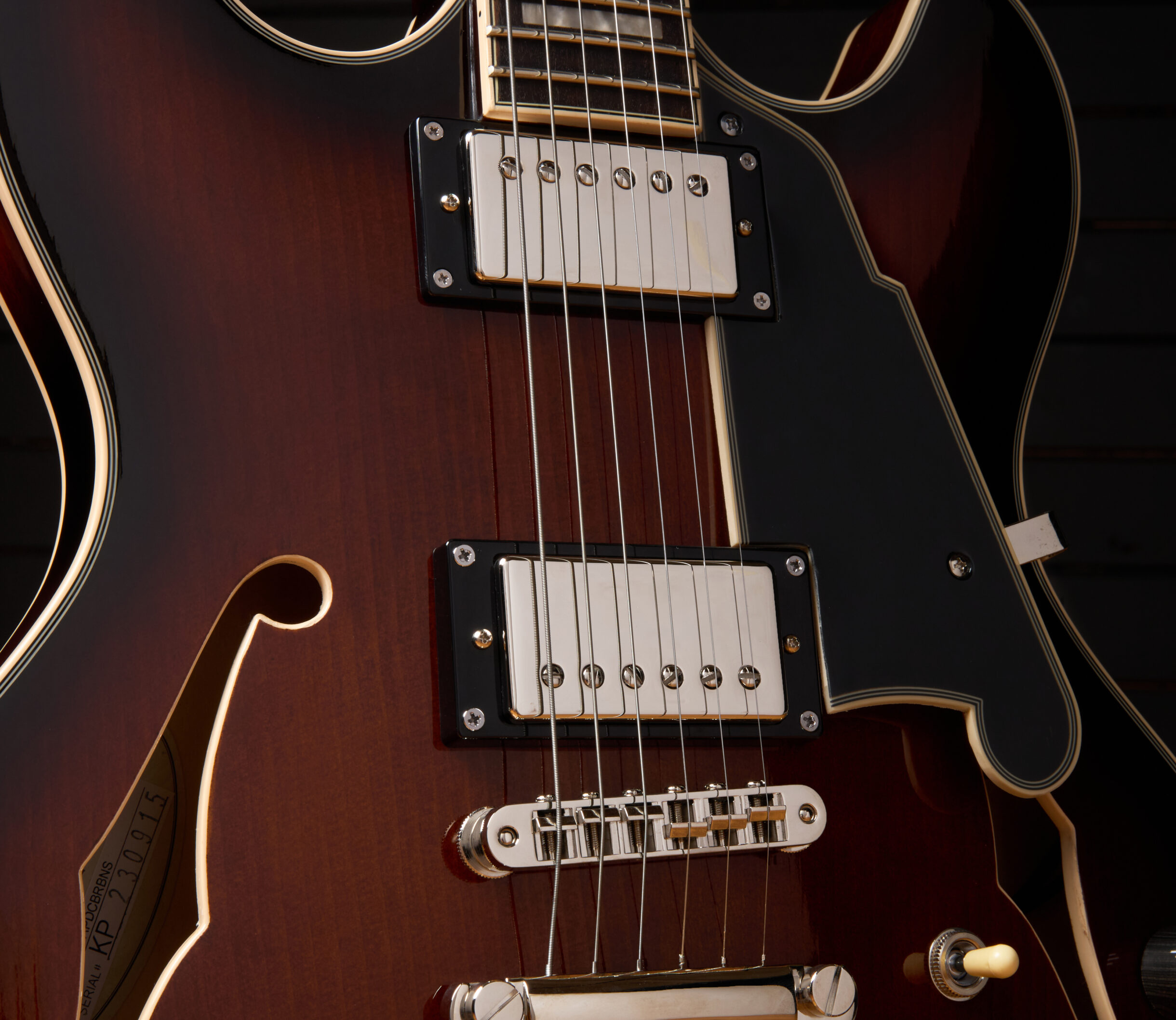 Premier DC - D'Angelico Guitars