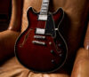 Premier DC - D'Angelico Guitars