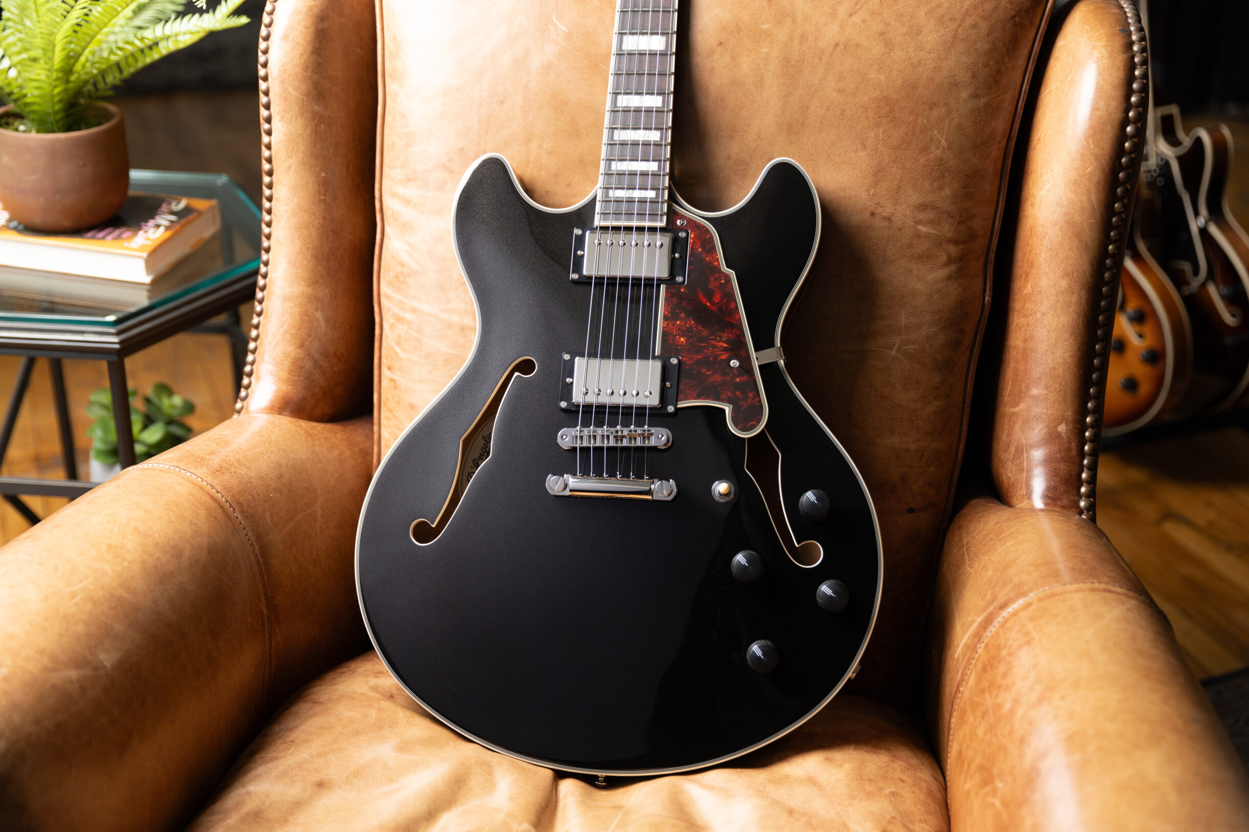 Premier DC - D'Angelico Guitars