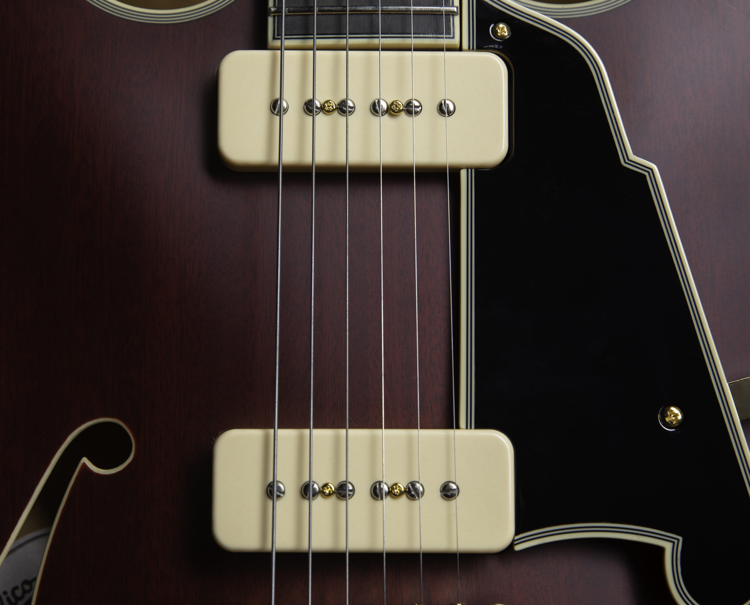 Deluxe Mini DC - D'Angelico Guitars