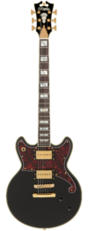Deluxe Eric Krasno Brighton - D'Angelico Guitars