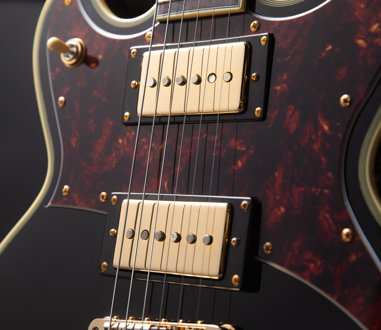 Deluxe Eric Krasno Brighton - D'Angelico Guitars