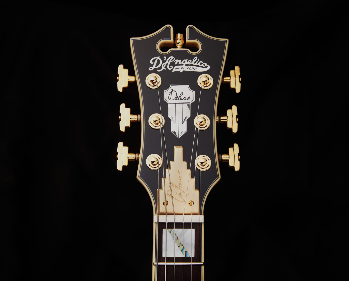 Deluxe Eric Krasno Brighton - D'Angelico Guitars